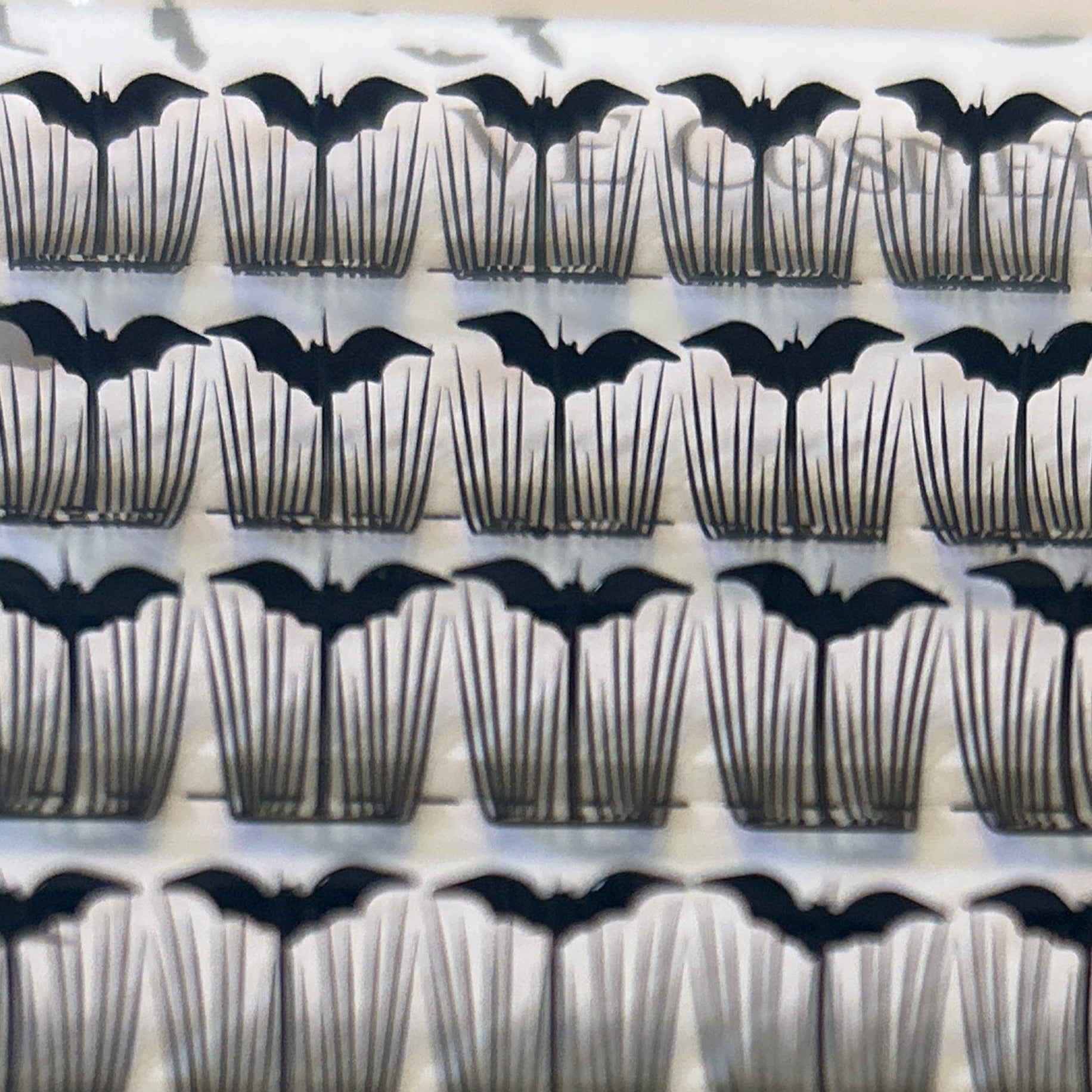 The Lash Ritual Collection — vegan, cruelty-free faux lashes – VE Cosmetics